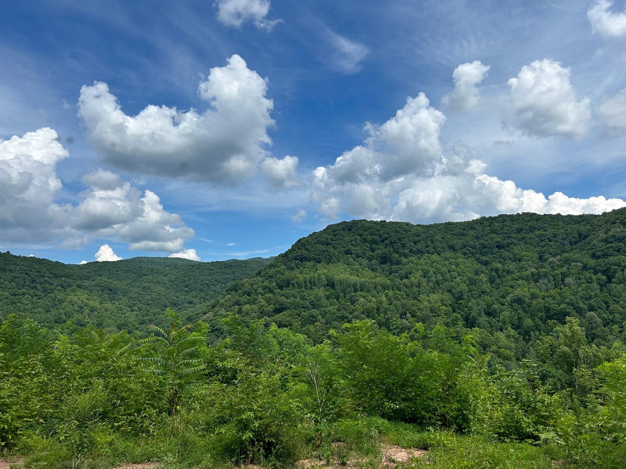 Keeney Mountain Road, Sandstone, WV 25976 | Land.com