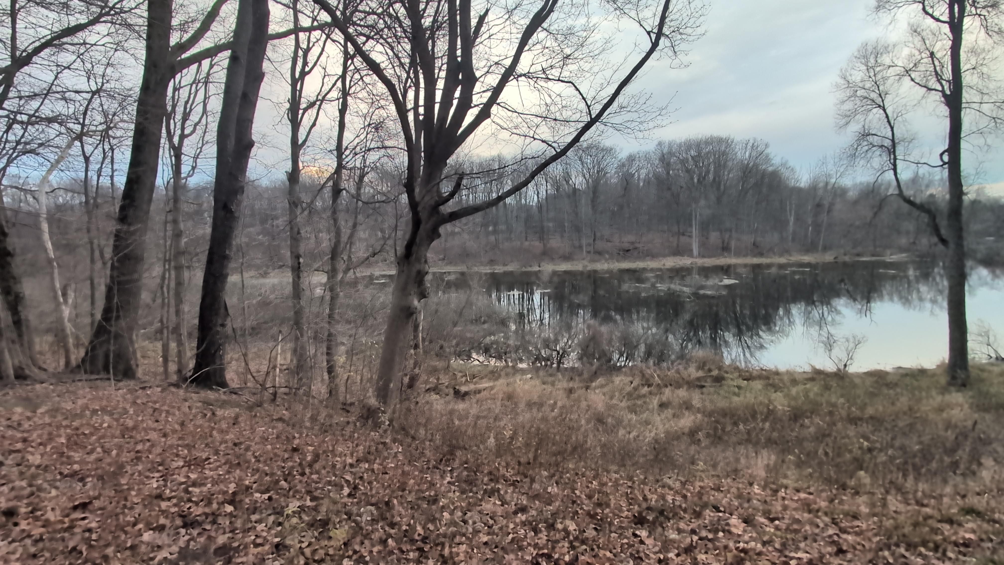 Madron Lake Rd, Buchanan, MI 49107 | Land.com