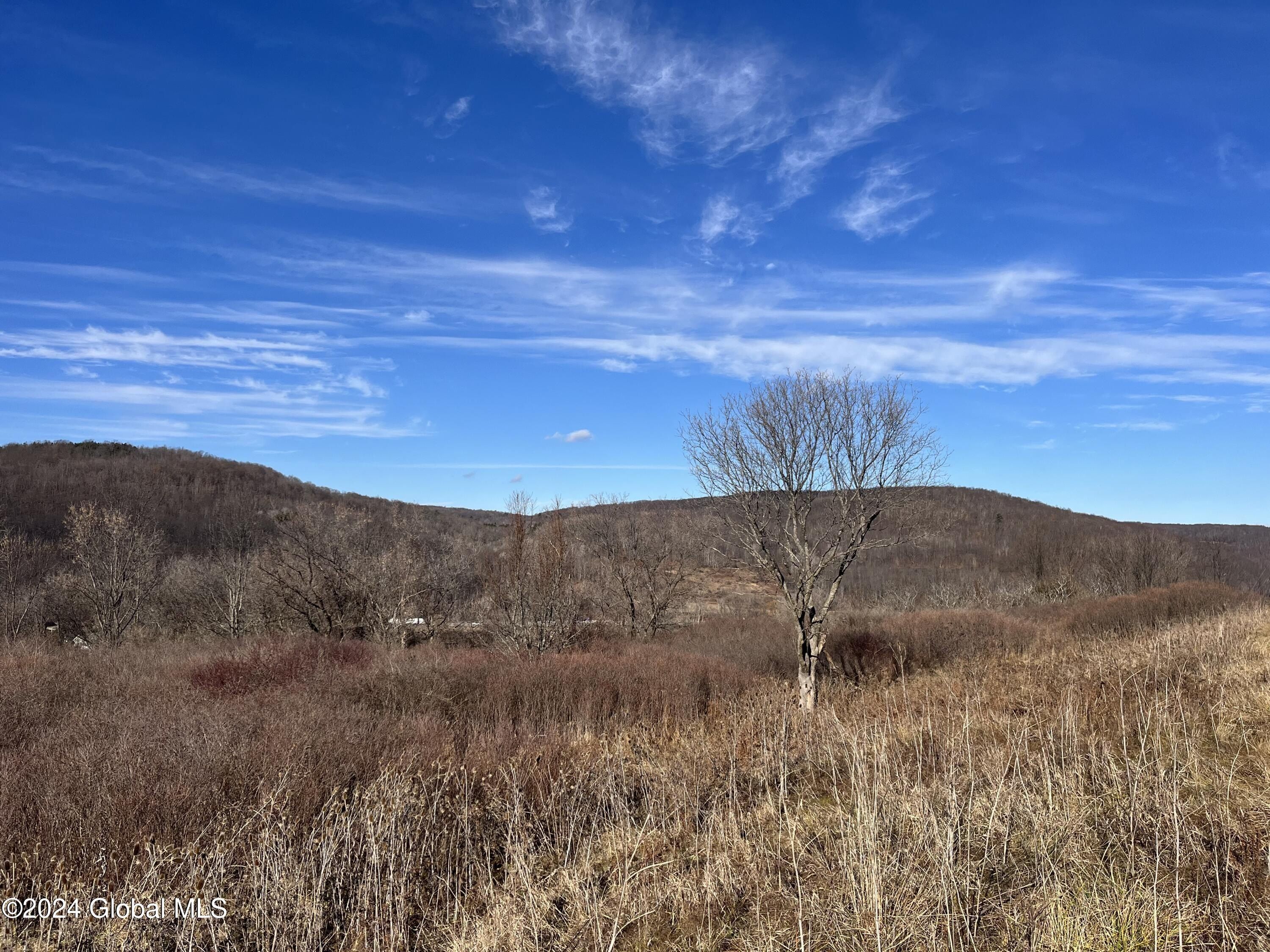 L24 State Route 10, Richmondville, NY 12149 | MLS: 202429916 | Land.com