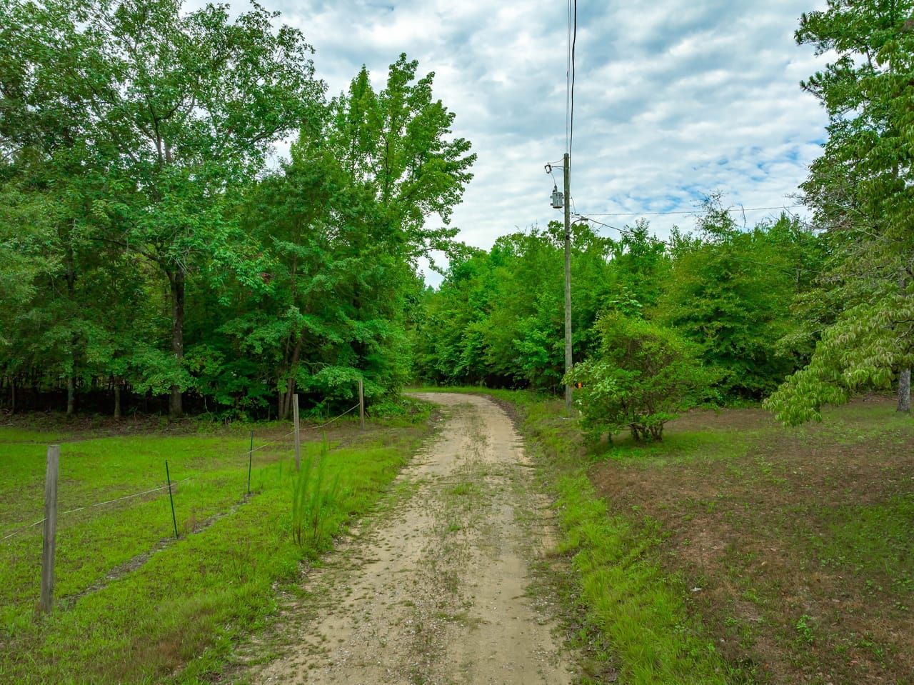 27.6 acres in Wallace, SC, 29596 | Land.com