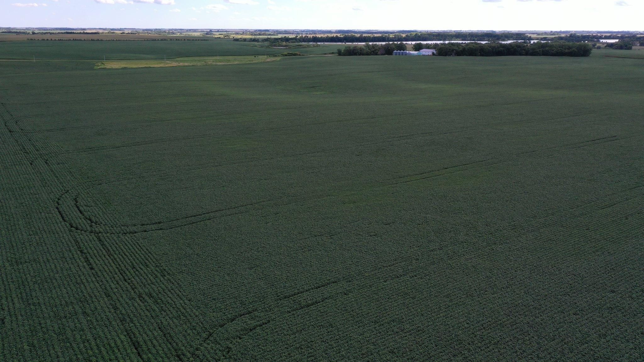 347.5 acres in Herman, MN, 56248 | Land.com