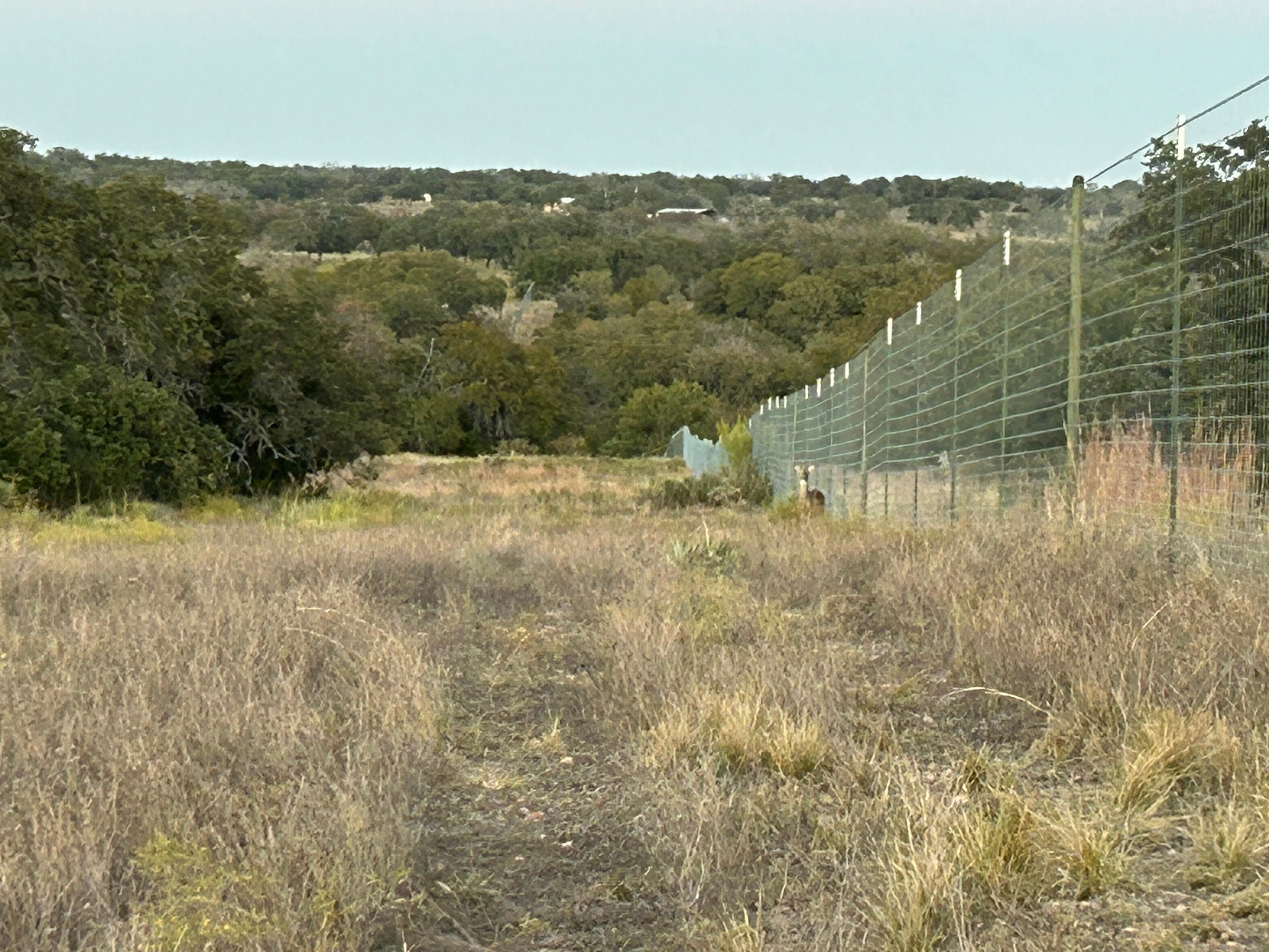 225 County Road 432, Mullin, TX 76864 | MLS: Crooked Run Creek Ranch ...