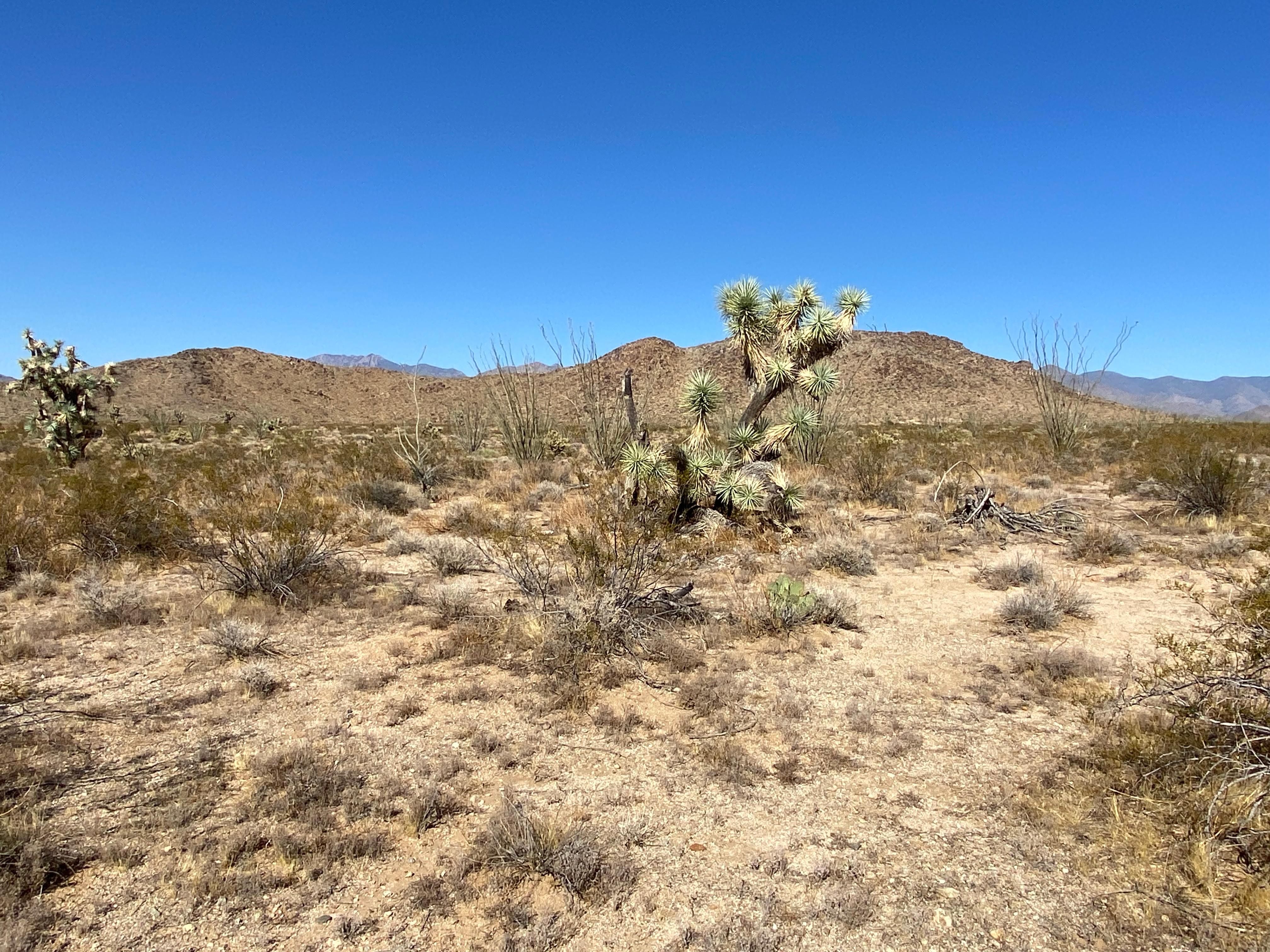2.35 acres in Yucca, AZ, 86438 | Land.com