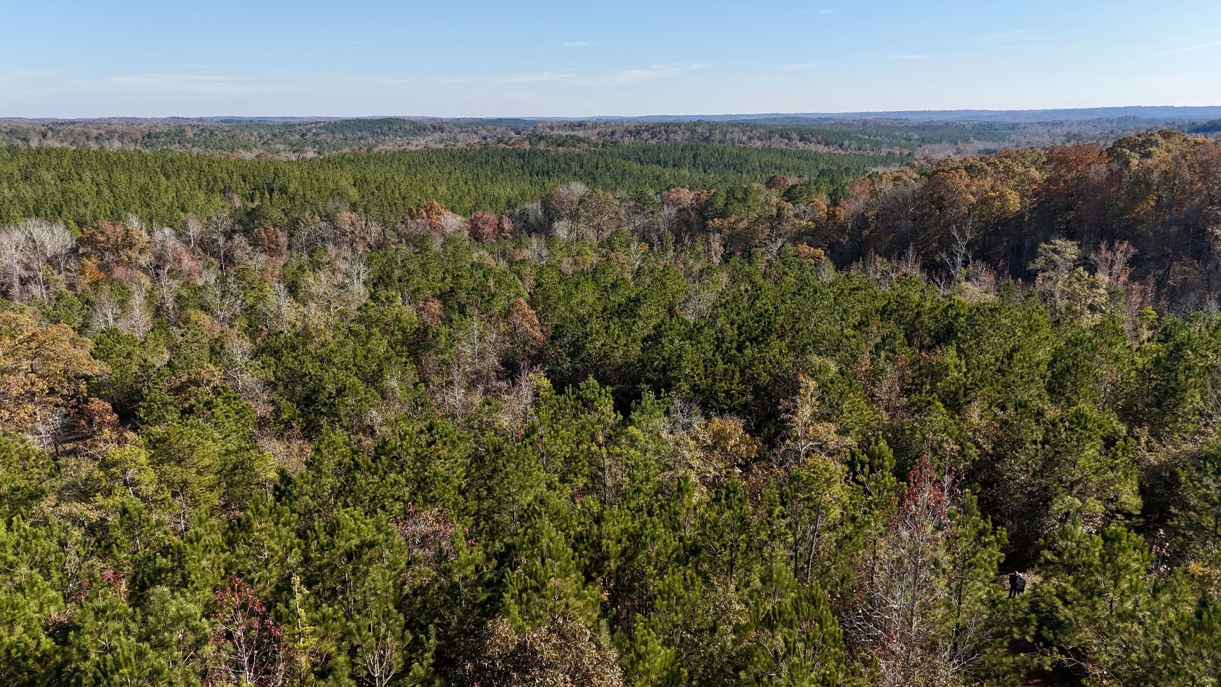 13225 Highway 49 S, Camp Hill, AL 36850 | Land.com