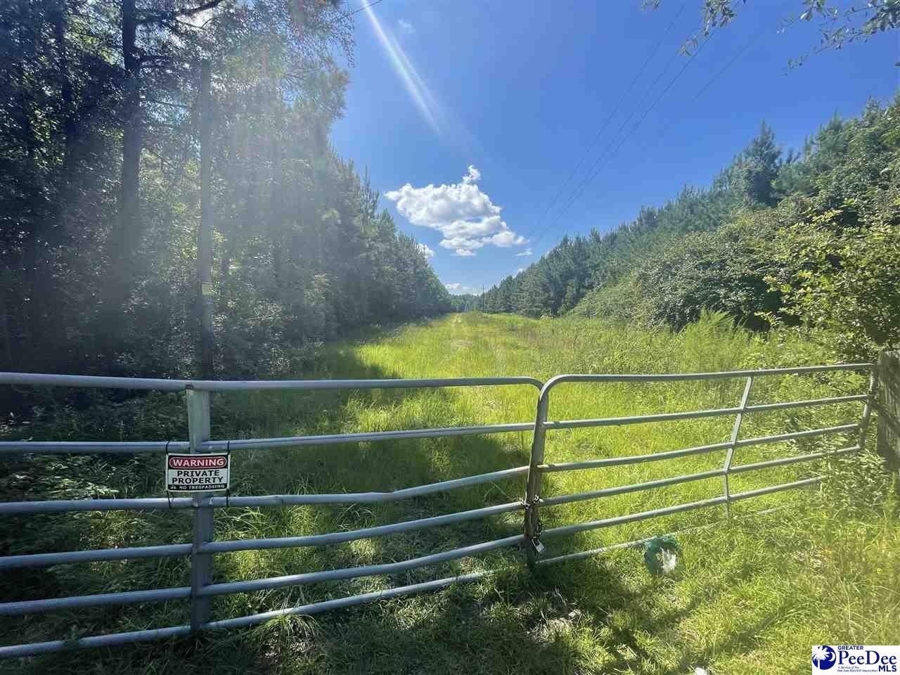 TBD Millpond Lane, Mccoll, SC 29570 | MLS: 20244596 | Land.com