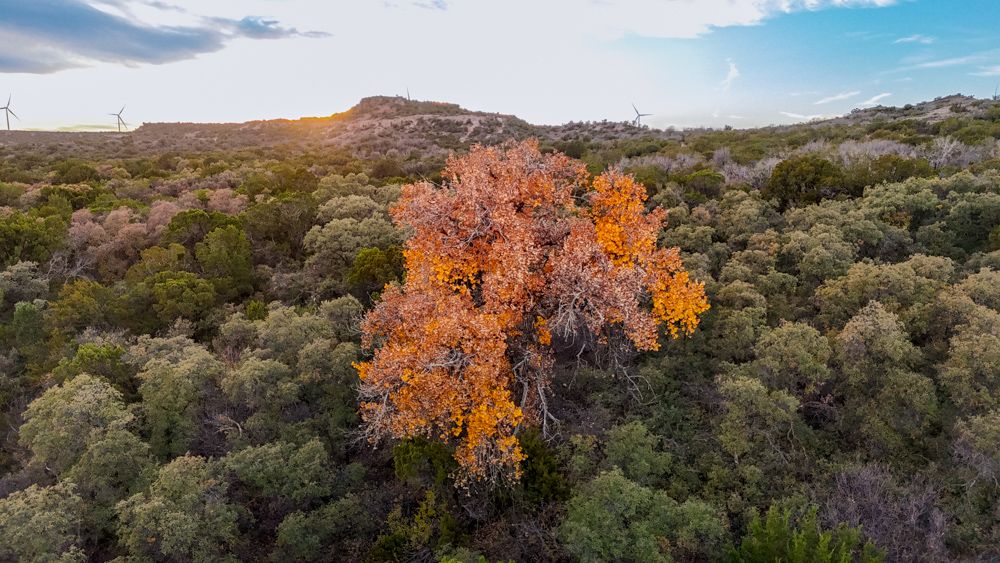 2600 FM 689, Quitaque, TX 79255 | MLS: Briscoe 5457 | Land.com