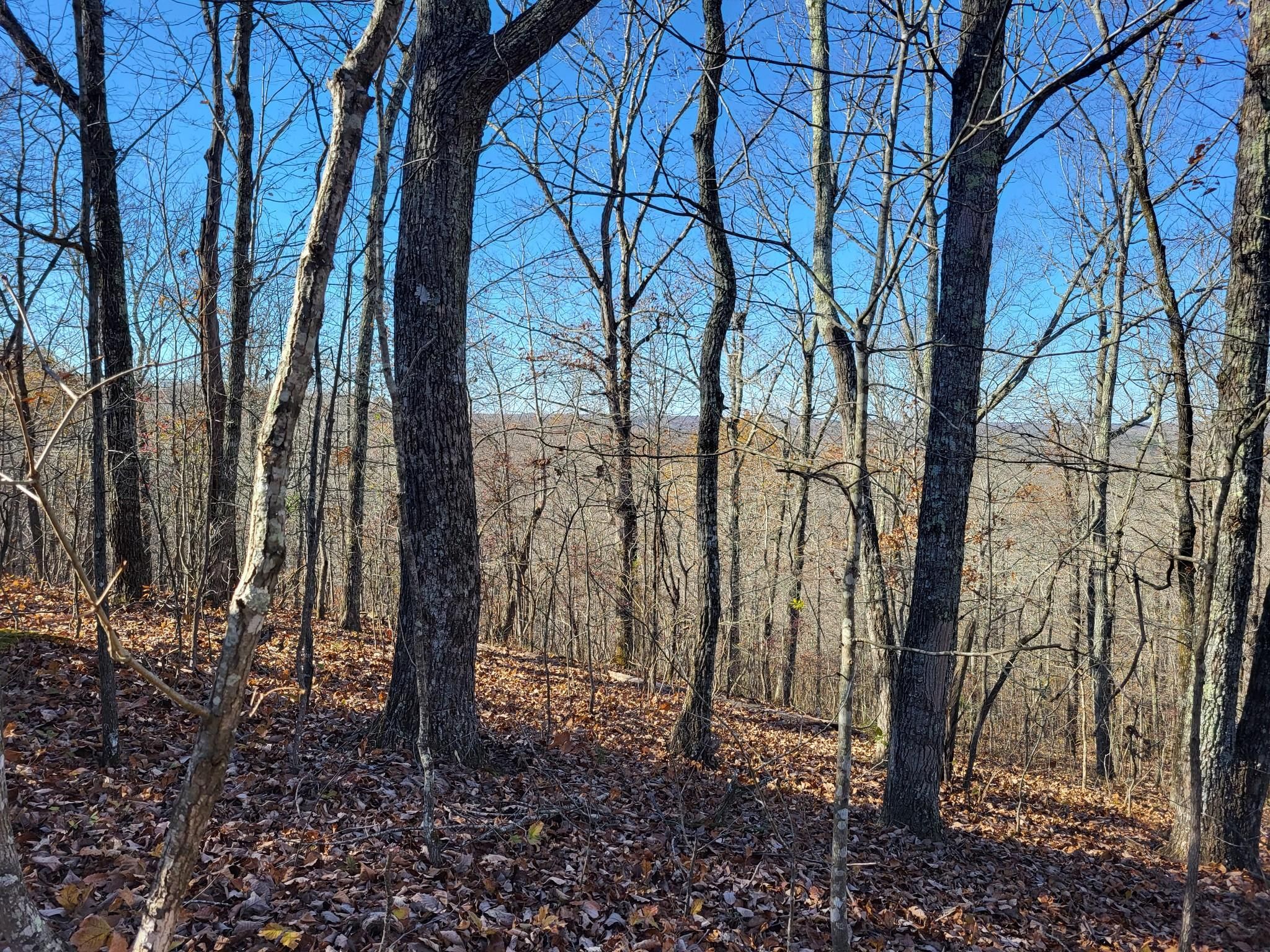 Redbud Road, Sugar Tree, TN 38380 | Land.com