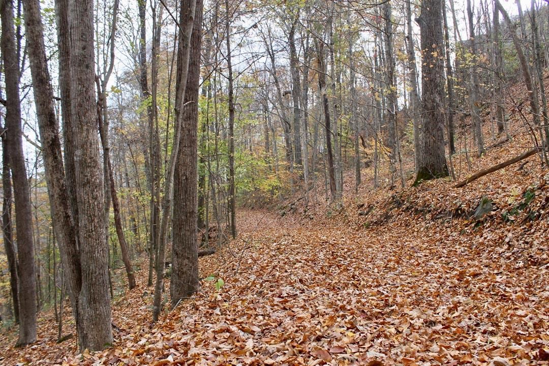 16.01 acres in Confluence, KY, 41749 | Land.com