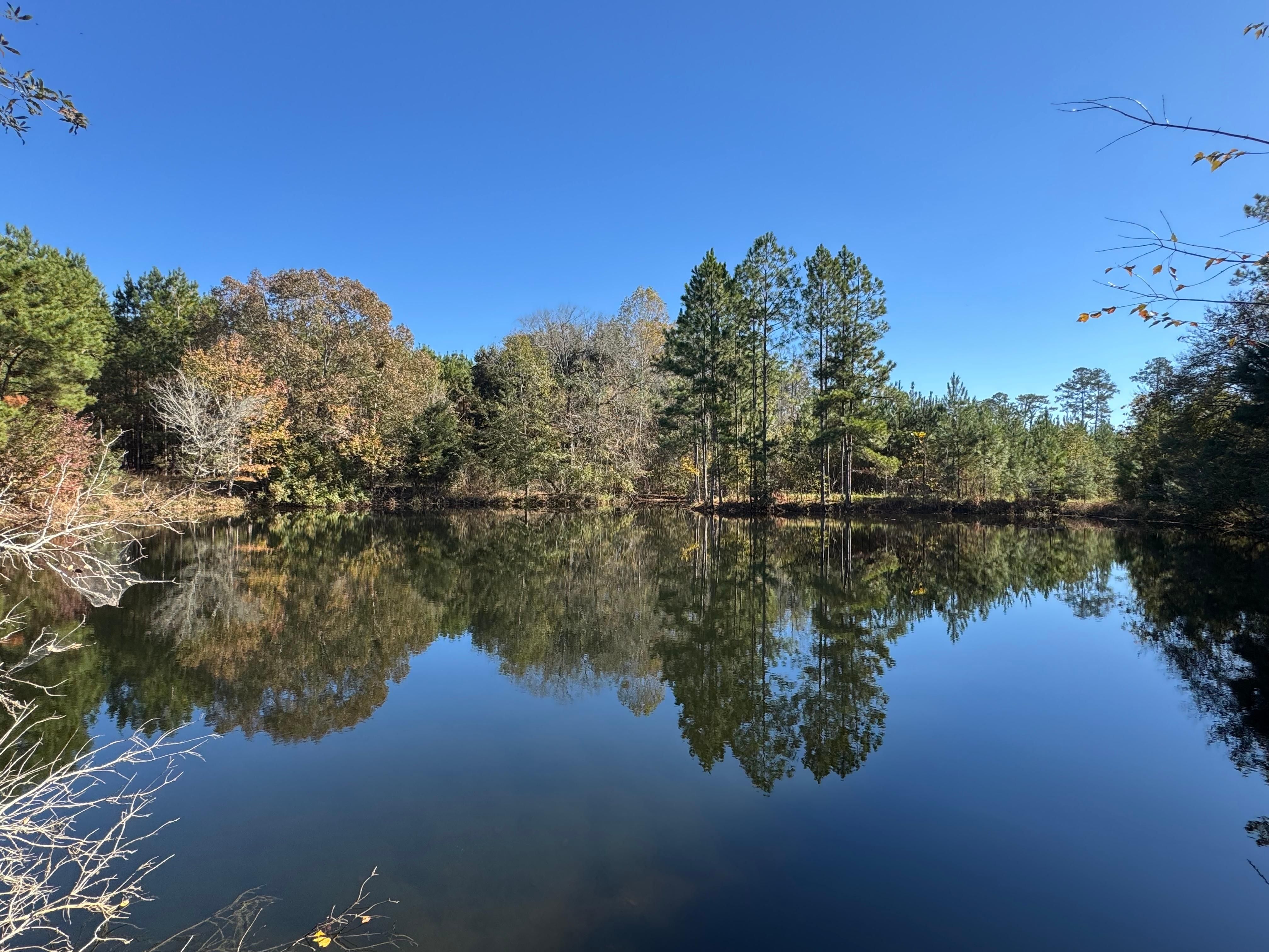 74 Cc Collier Rd, Ochlocknee, GA 31773 | Land.com