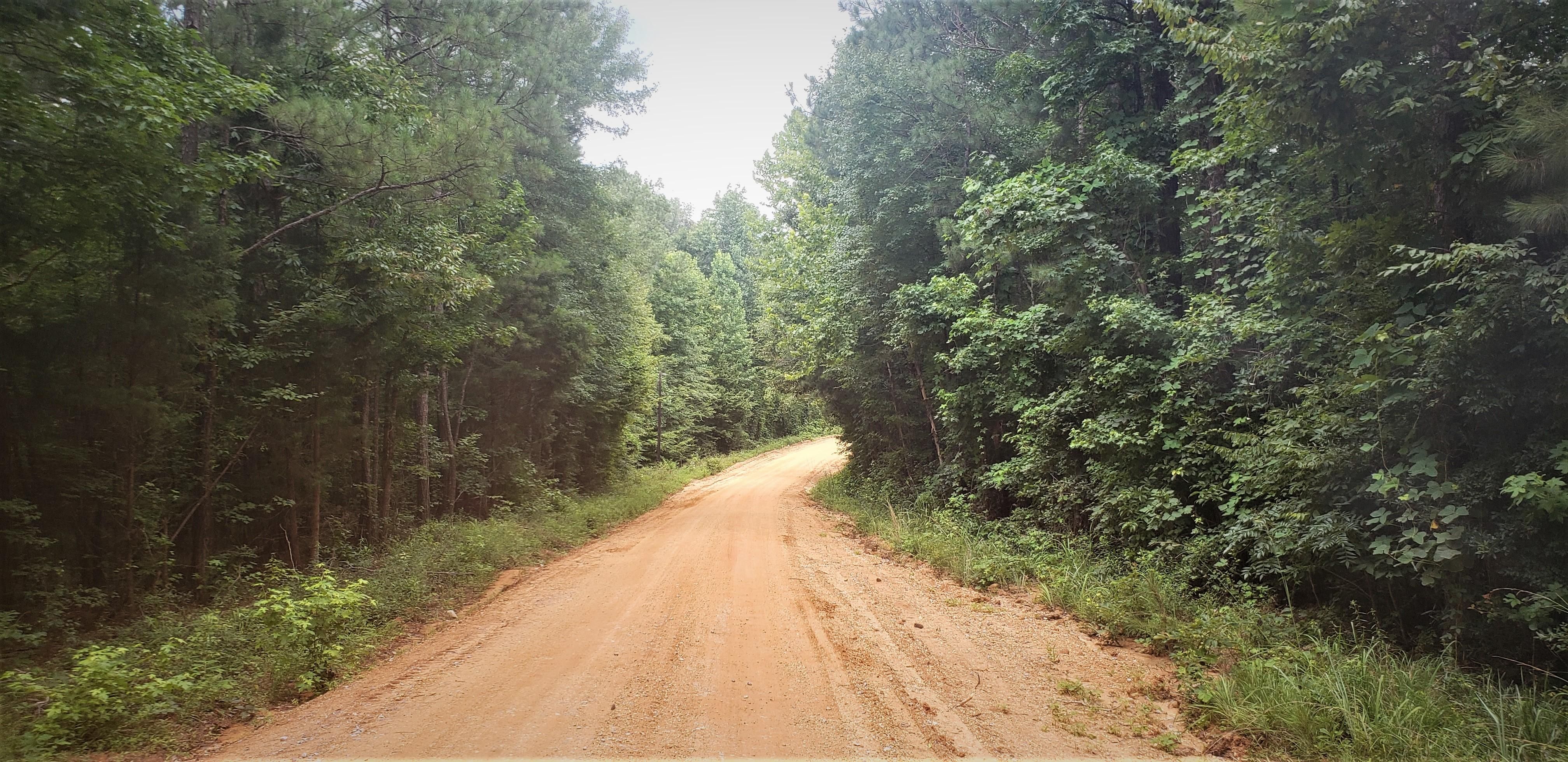107 Pinhook Road, Demopolis, AL 36732 | MLS: 11392447 | Land.com