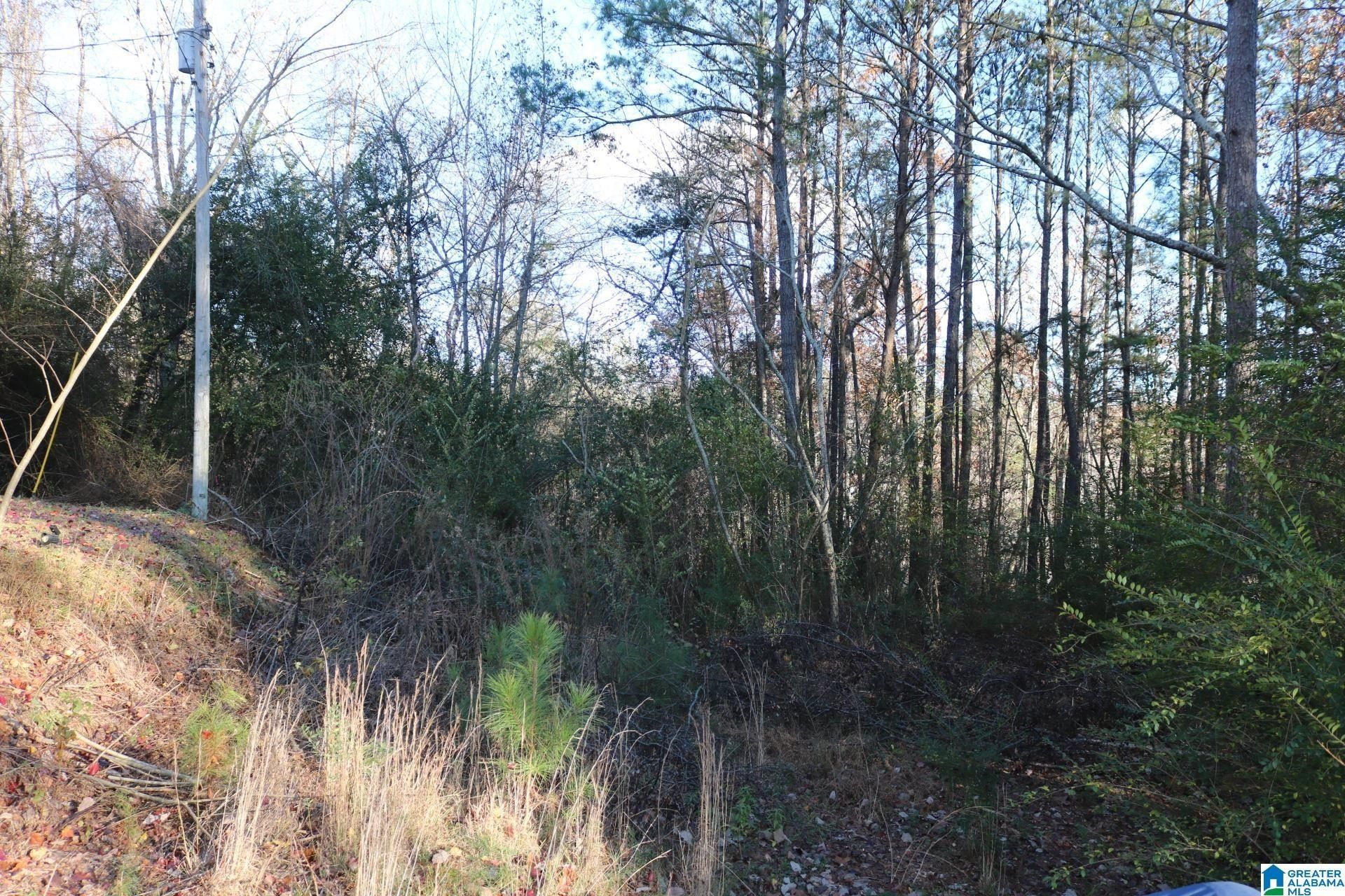 5635 VICTORY LANE, Concord, AL 35023 | MLS: 21404845 | Land.com