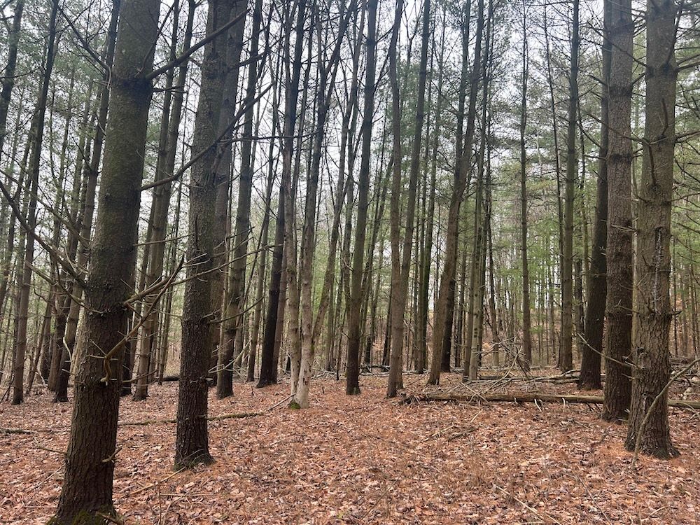 Stoney Point Road, Lot#WP001, New Concord, OH 43762 | MLS: 50895 | Land.com