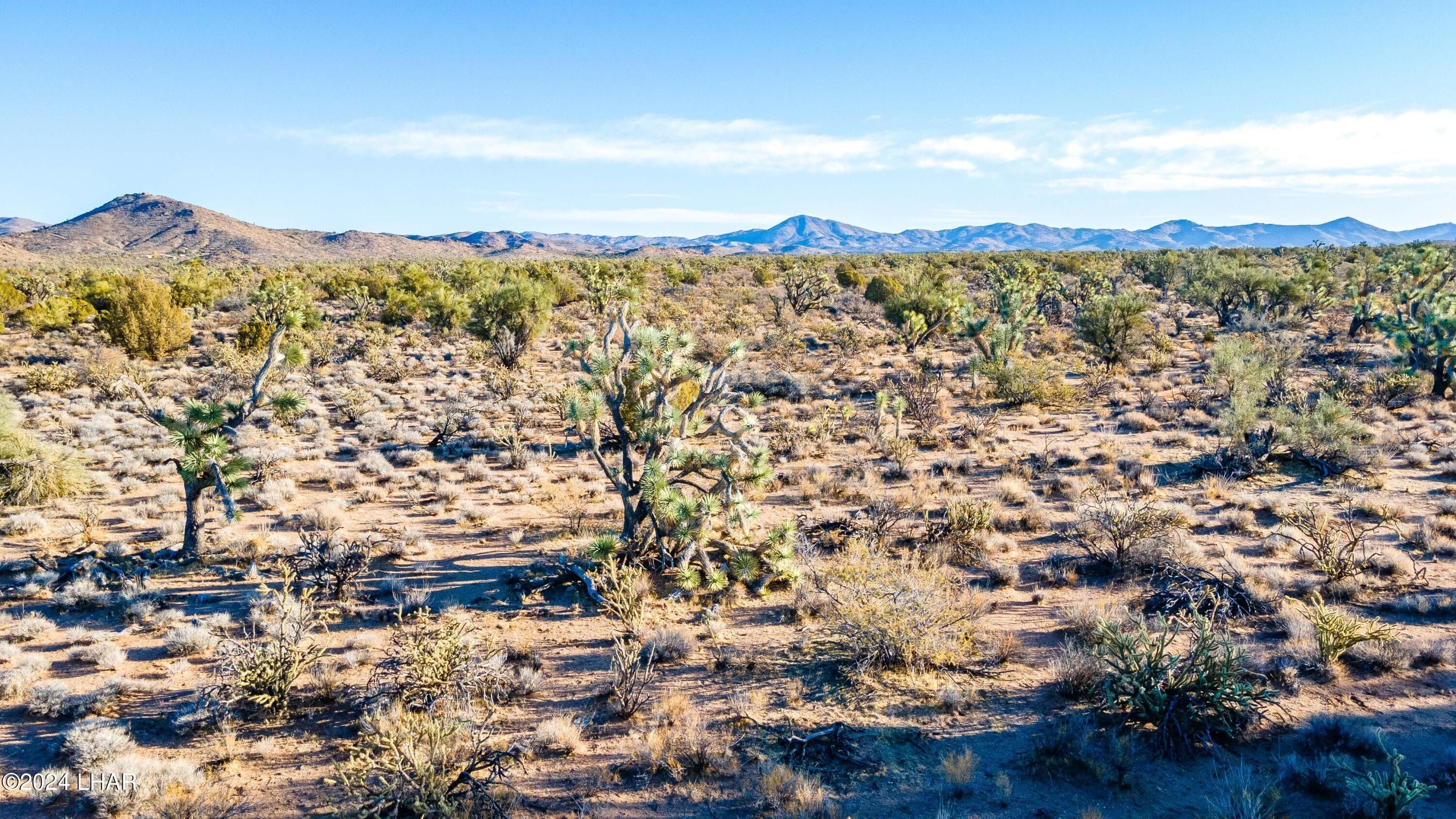 0 Bonanza Rd, Yucca, AZ 86438 | MLS: 1033345 | Land.com