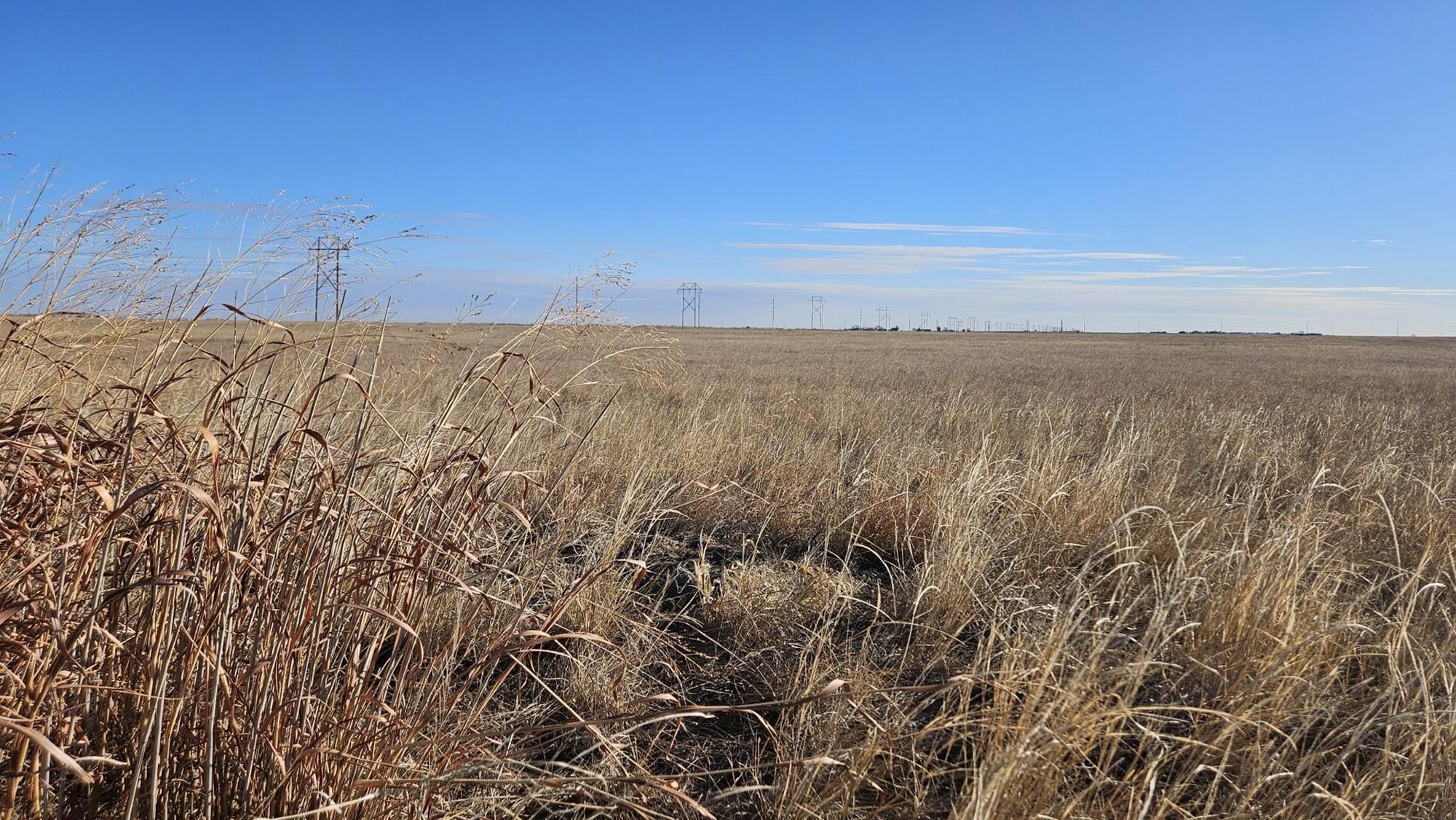 256 acres in Yuma, CO, 80759 | MLS: Villines CRP-Dryland Auction | Land.com