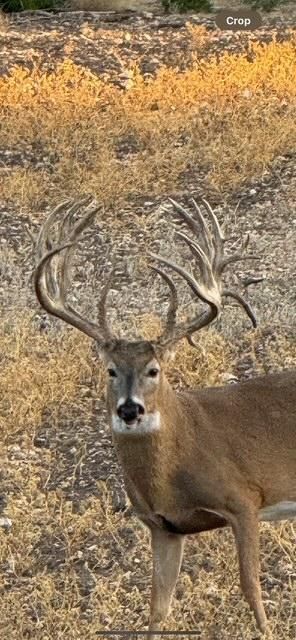 13955 Ranch to Market Road 2523, Del Rio, TX 78840 | Land.com