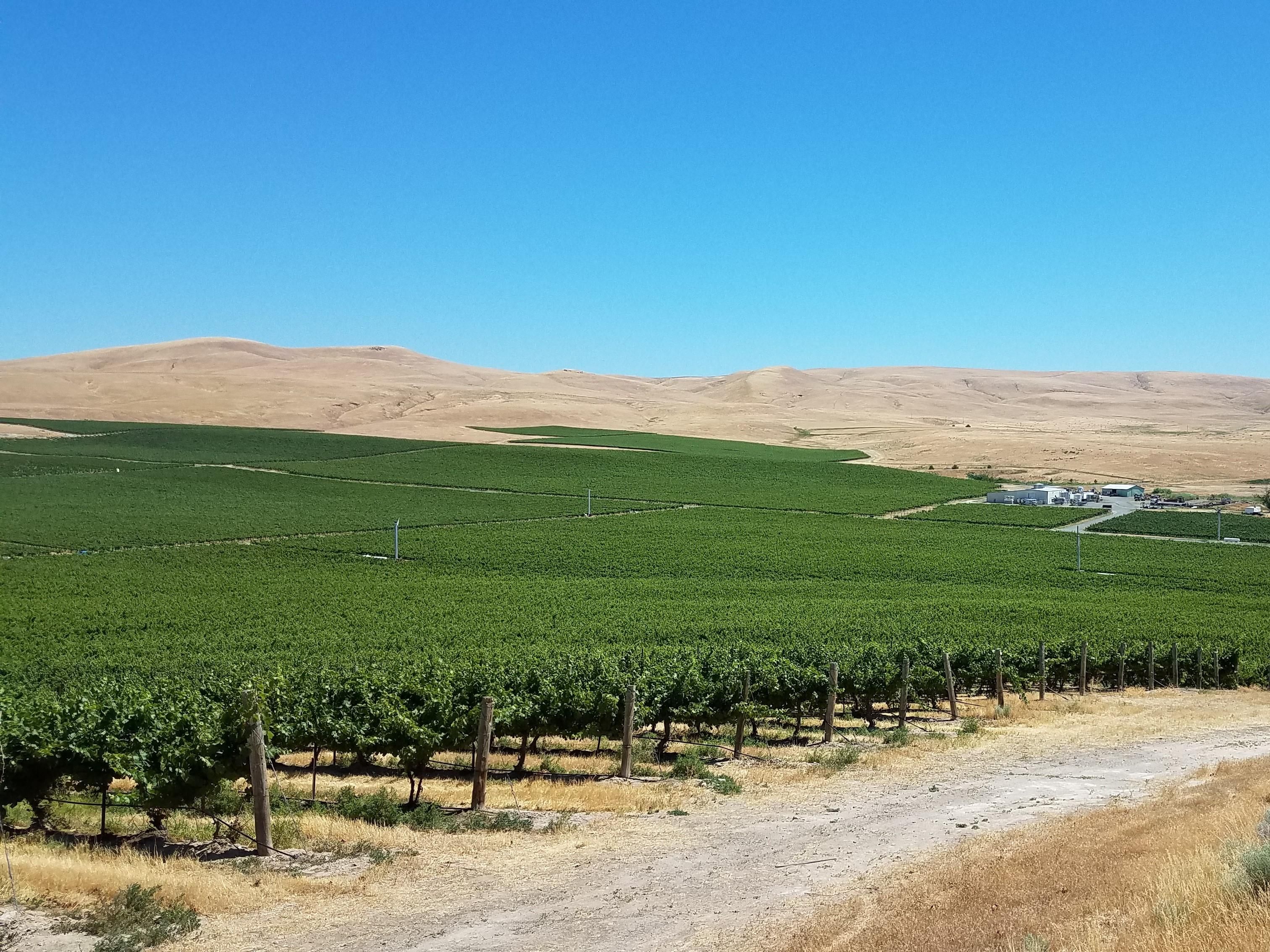 Vintage Rd, Zillah, WA 98953 | Land.com