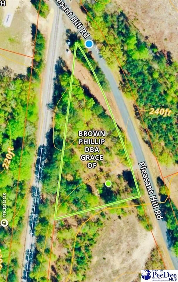 Pleasant Hill Road, Wallace, SC 29596 | MLS: 20244660 | Land.com