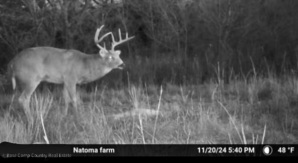 Dd Road, Natoma, KS 67651 | Land.com