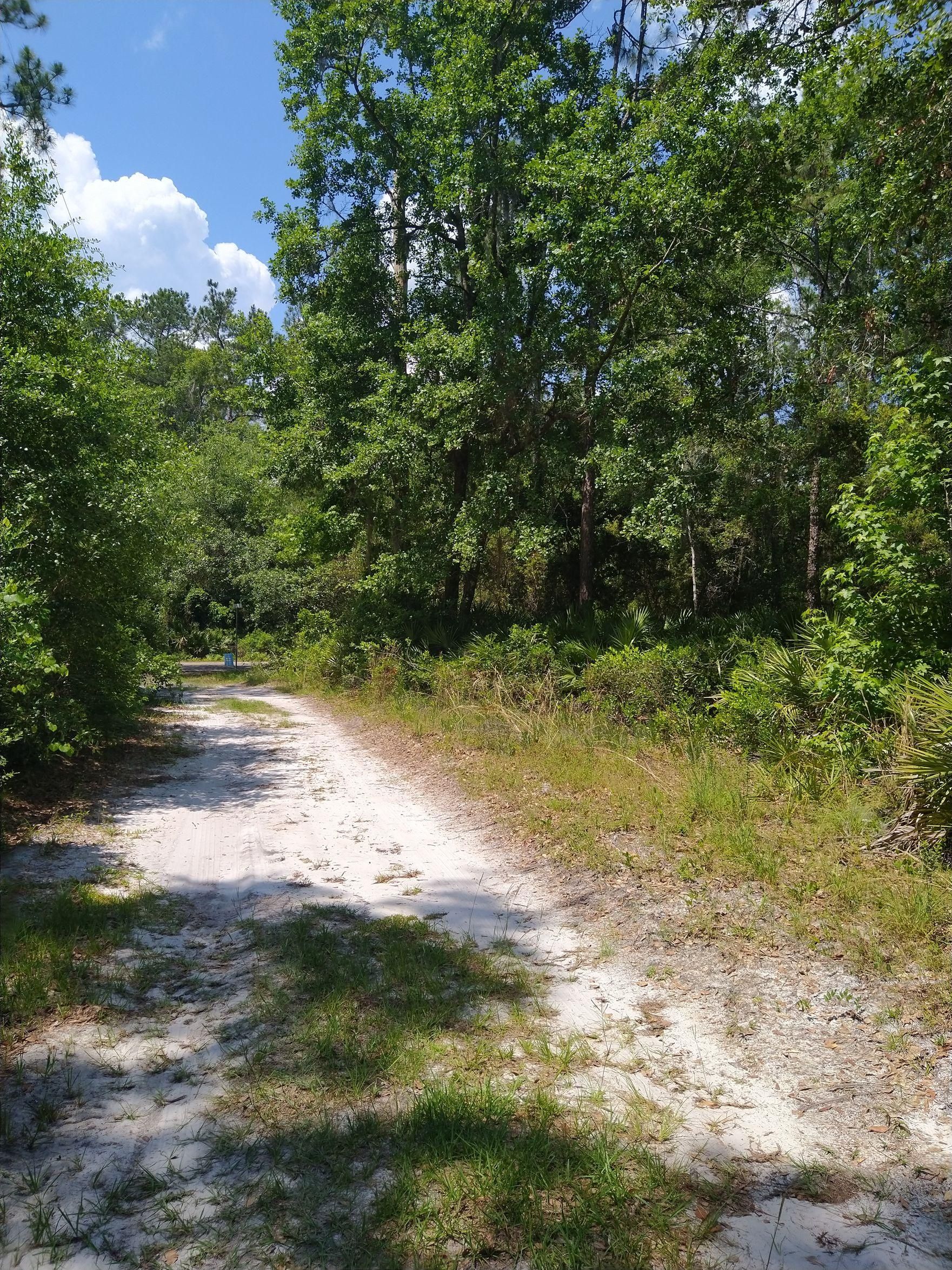 101 Click Rd, Satsuma, FL 32189 | Land.com