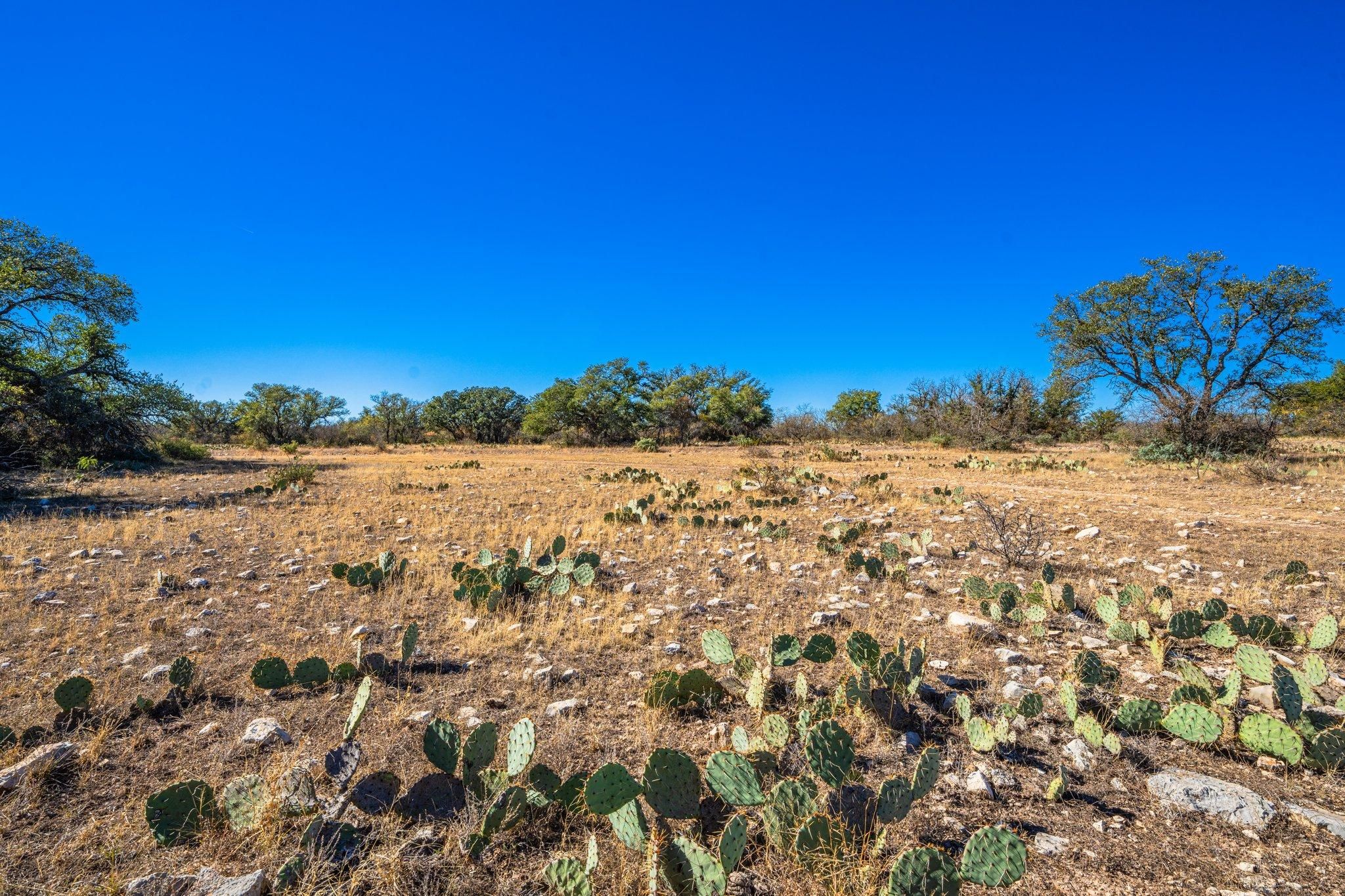Waddell Lane, Menard, TX 76859 | Land.com