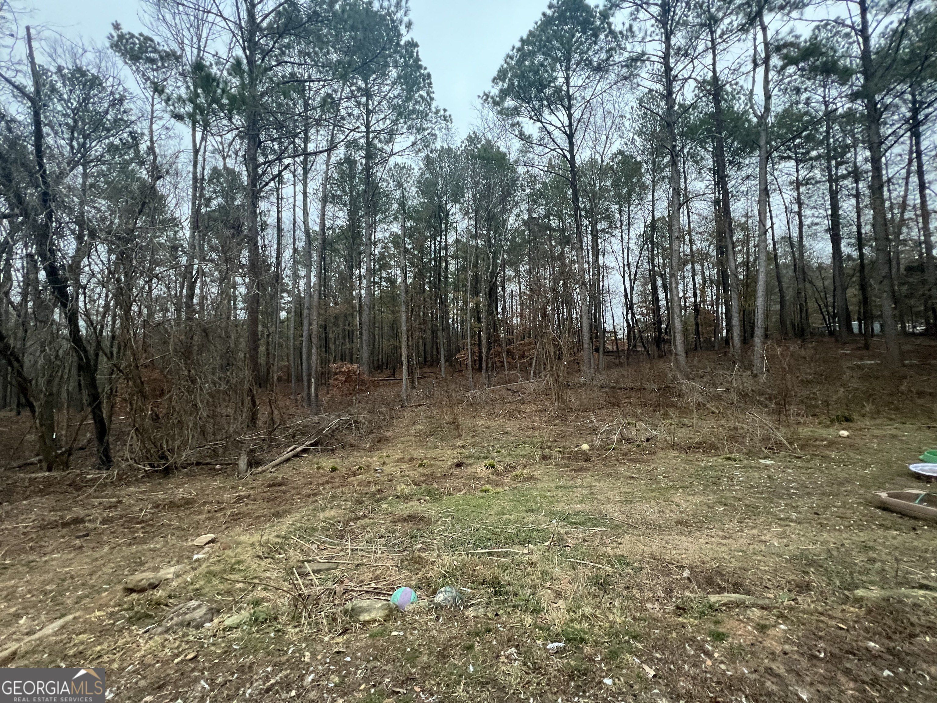 89 Three Angels, Comer, GA 30629 | MLS: 10428638 | Land.com
