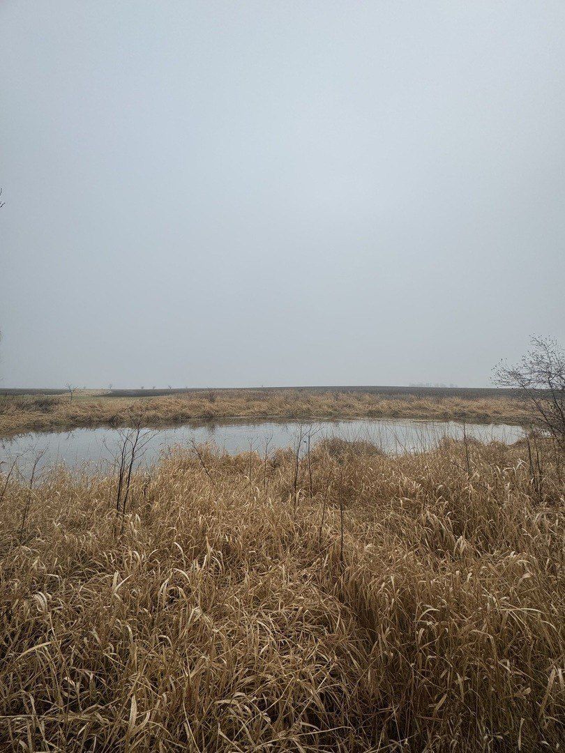 4312 E 7th (US #34) Road, Mendota, IL 61342 | MLS: 12258633 | Land.com