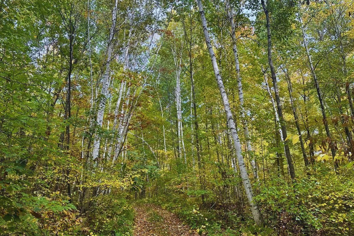 Flinstone Dr, Randall, MN 56475 | MLS: Morrison 0.64 Acres, 08.0861.000 ...