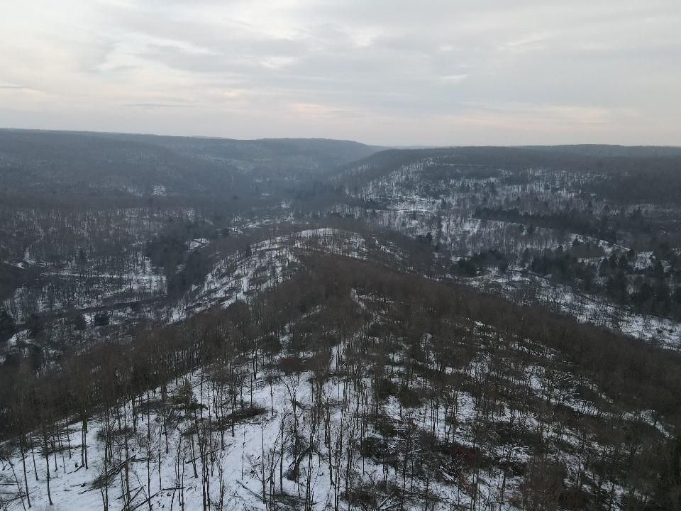 U.S. 219, Rockton, PA 15856 | MLS: 04-14014 | Land.com