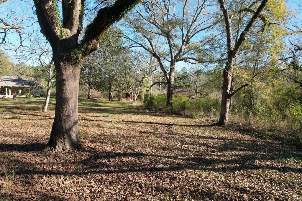 914 Crooked Lane, Brookhaven, MS 39601 | MLS: 143772 | Land.com