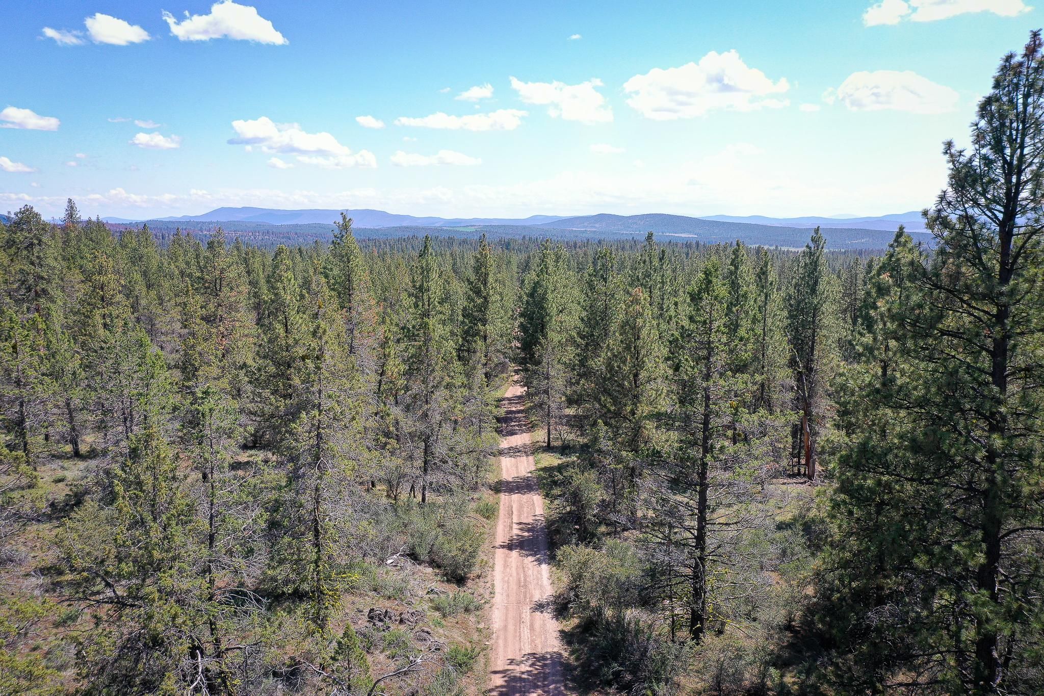 Chicken Hawk Dr, Bonanza, OR 97623 | Land.com