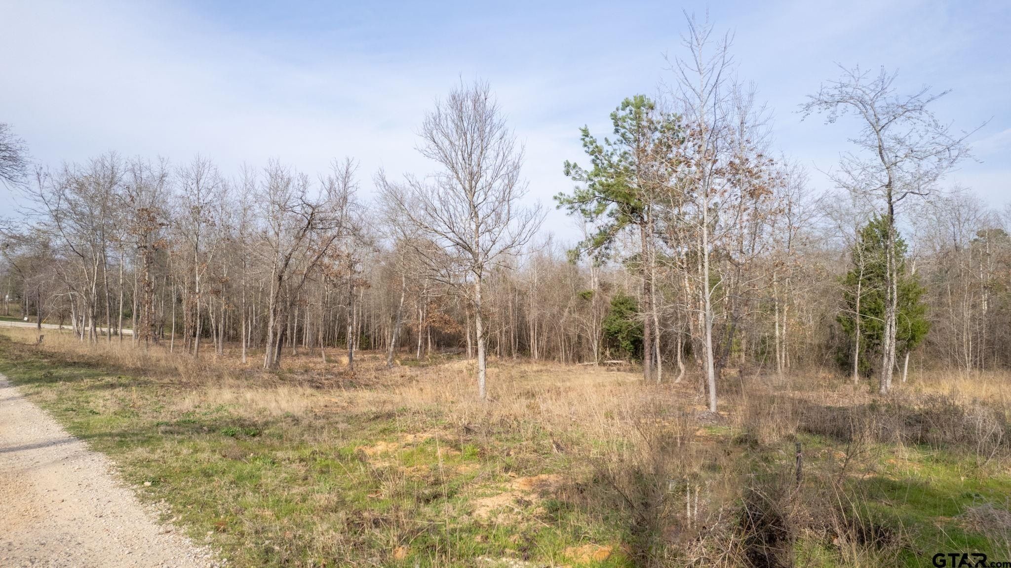 24409 FM 838, Overton, TX 75684 | MLS: 25000081 | Land.com