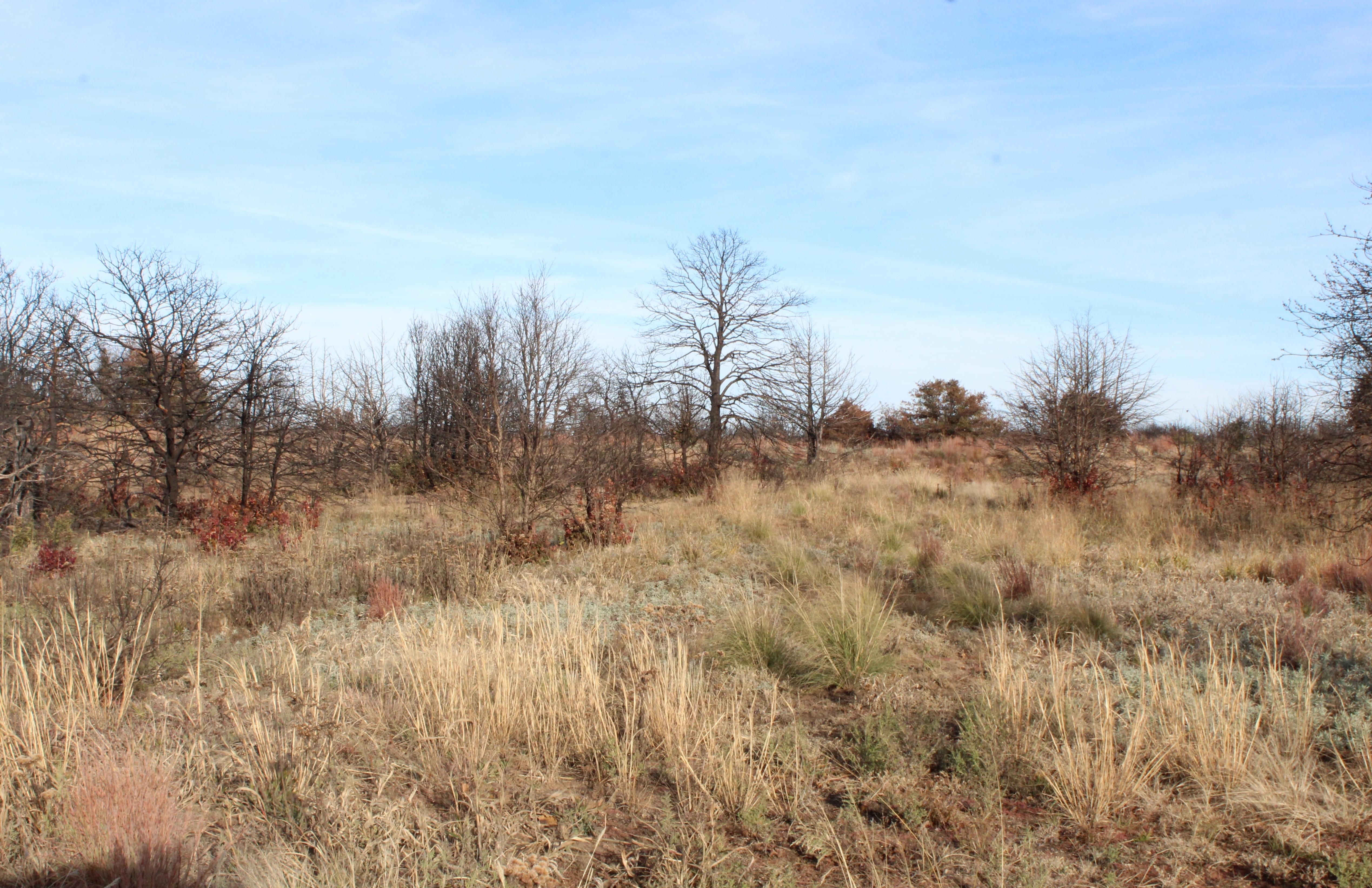 480 acres in Chester, OK, 73838 | Land.com