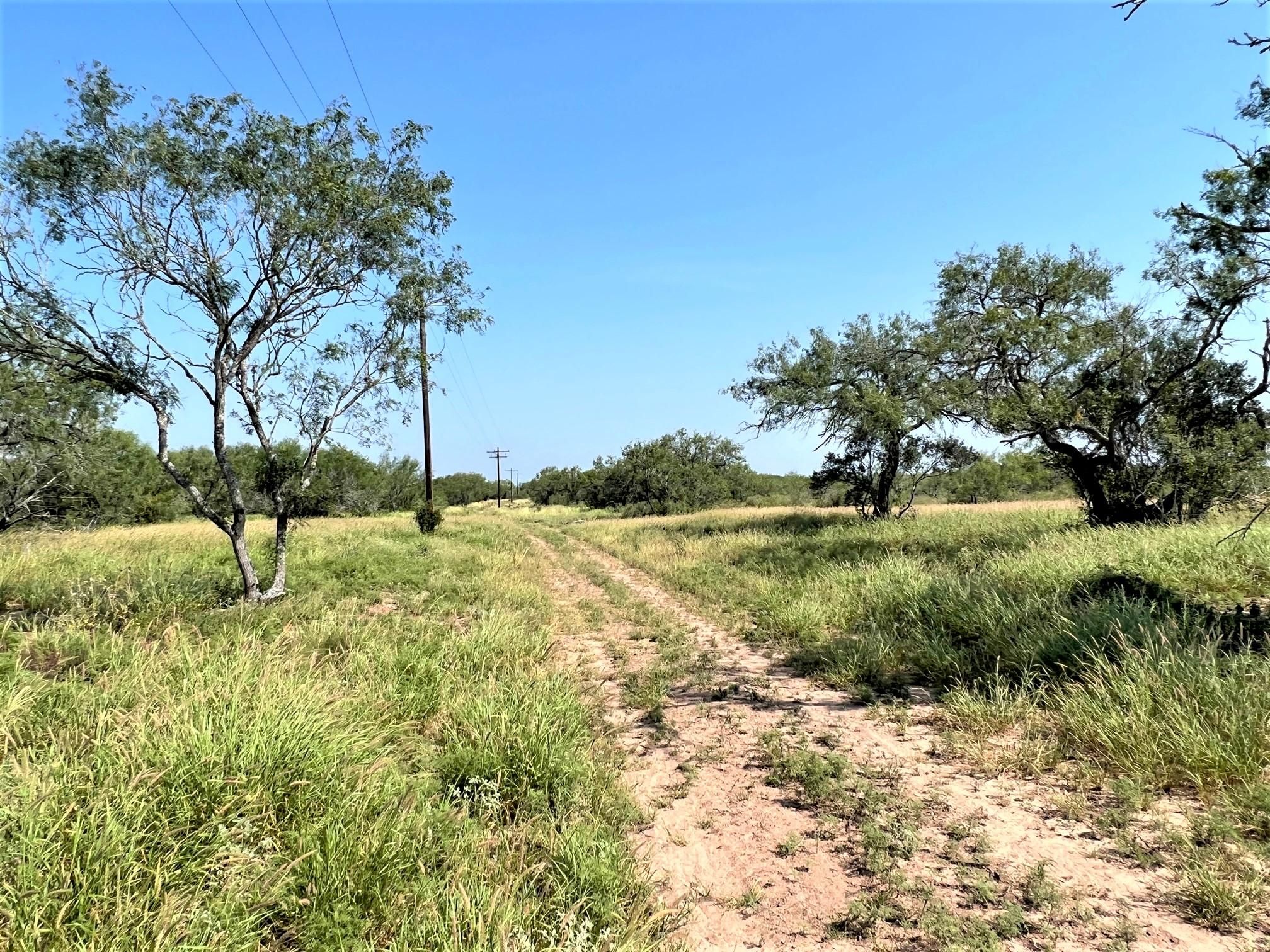 576 acres in Freer, TX, 78357 | Land.com