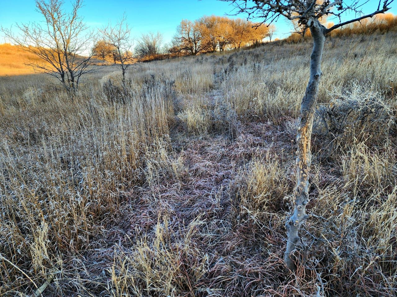 TBD 370th Ave, Palco, KS 67657 | Land.com