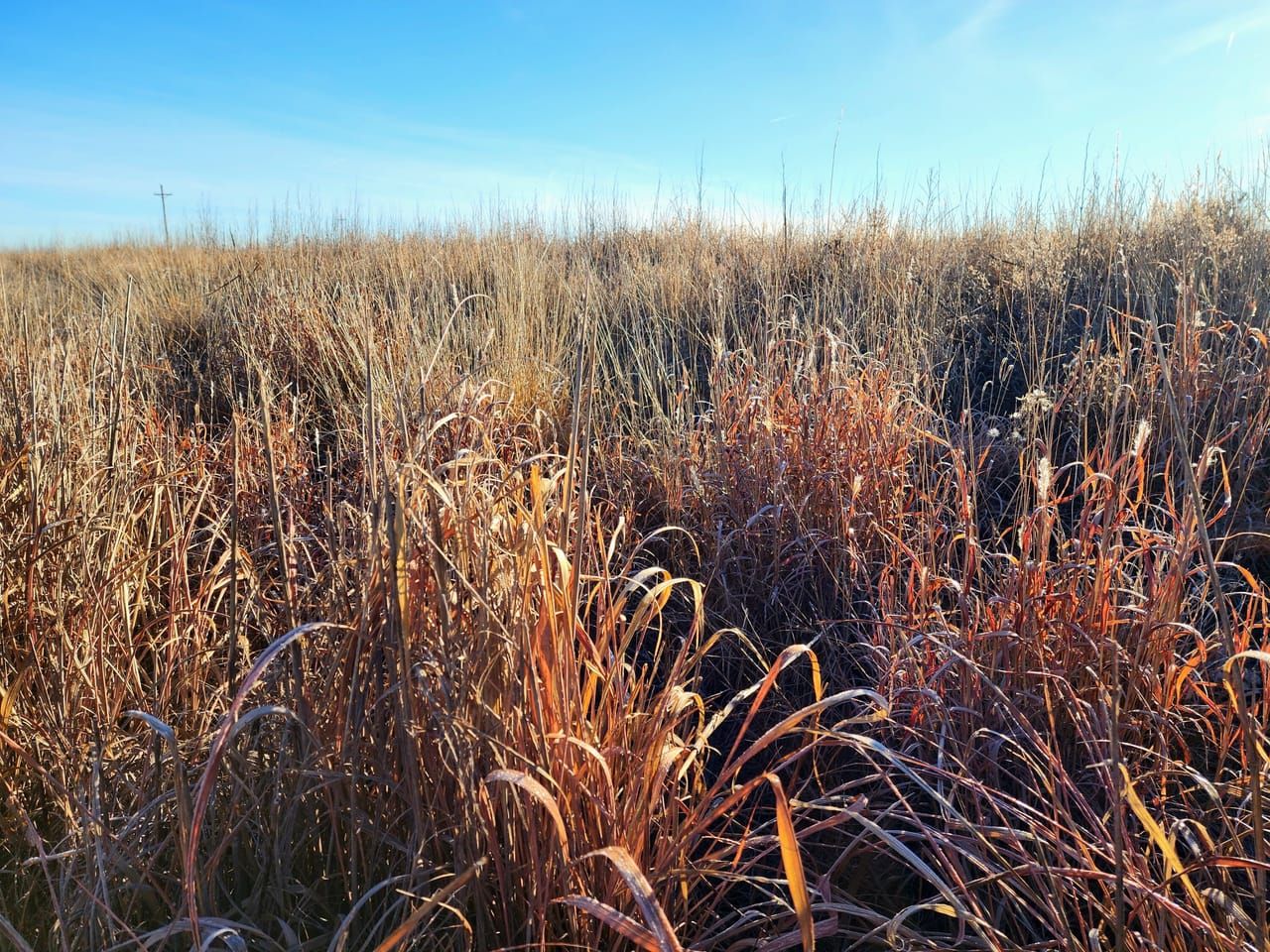 TBD, Ulysses, KS 67880 | Land.com