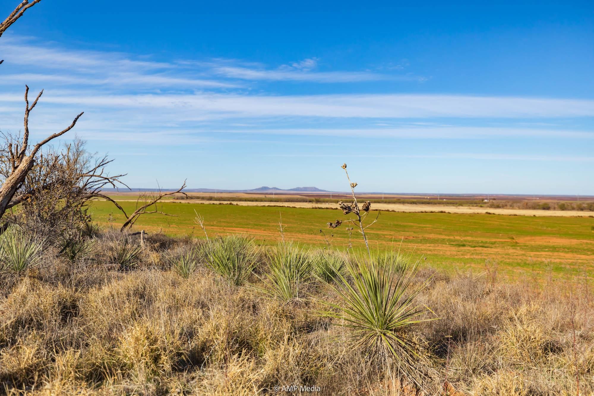 Co Rd 211, Rotan, TX 79546 | Land.com