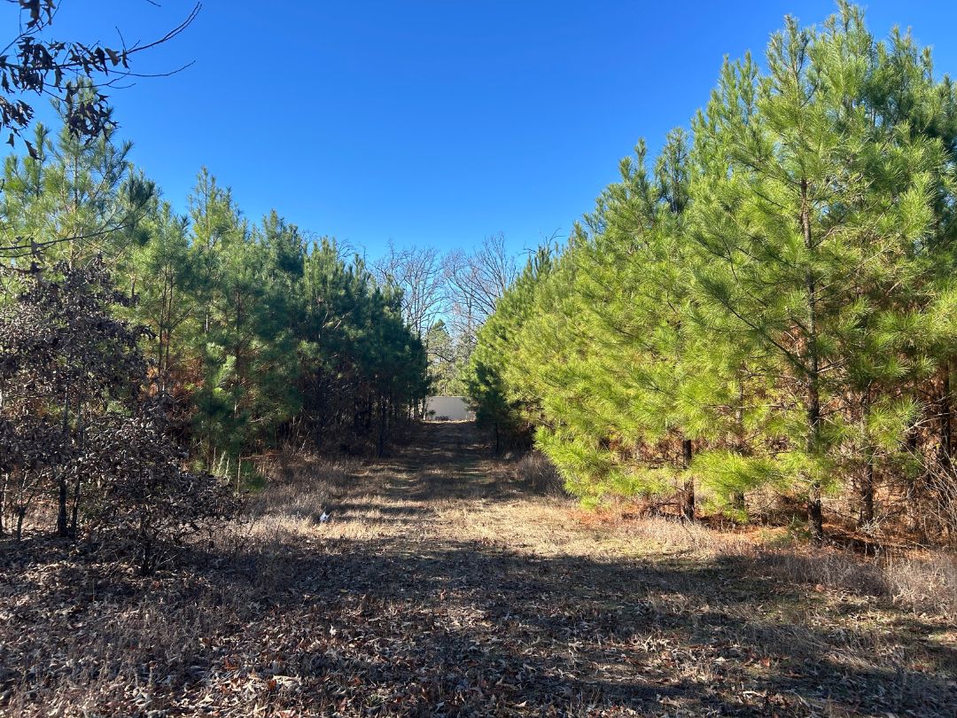 County Road 2345, Marietta, TX 75566 | Land.com