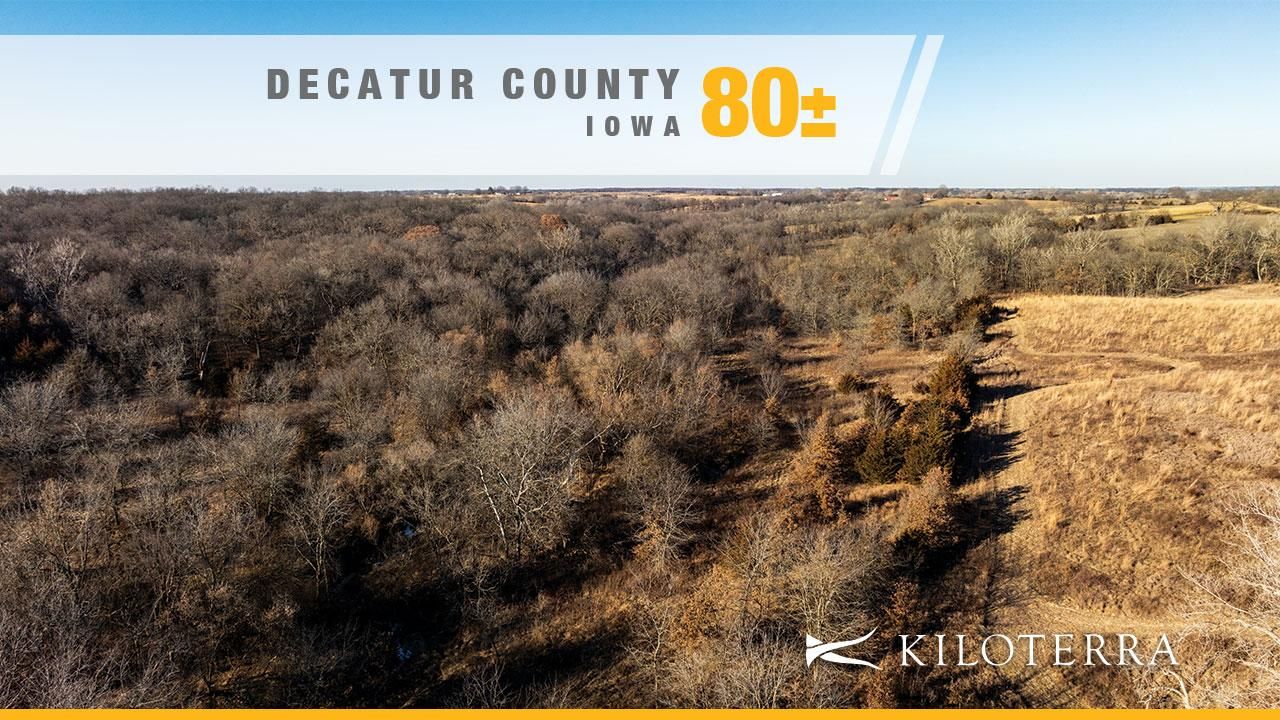 80 acres in Leon, IA, 50144 | MLS: 705175 | Land.com