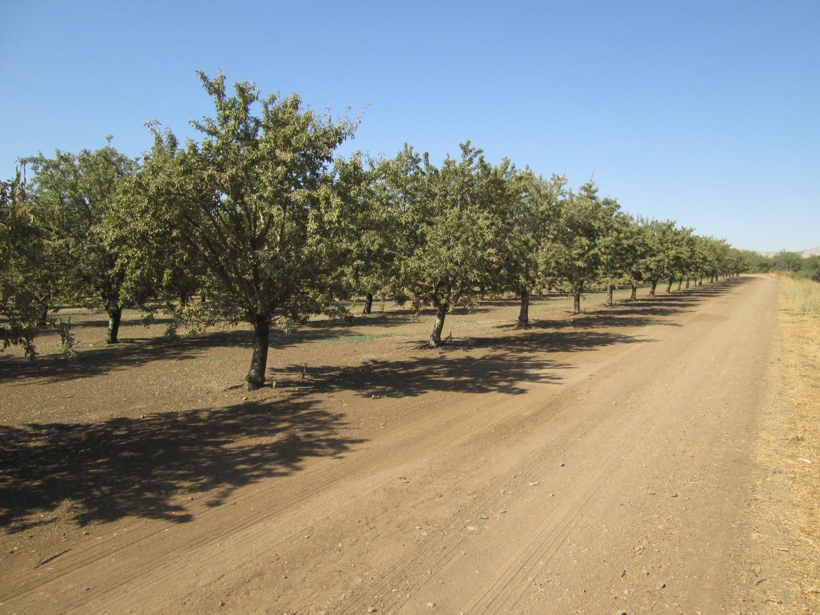 29407 Eastin Road, Newman, CA 95360 | Land.com