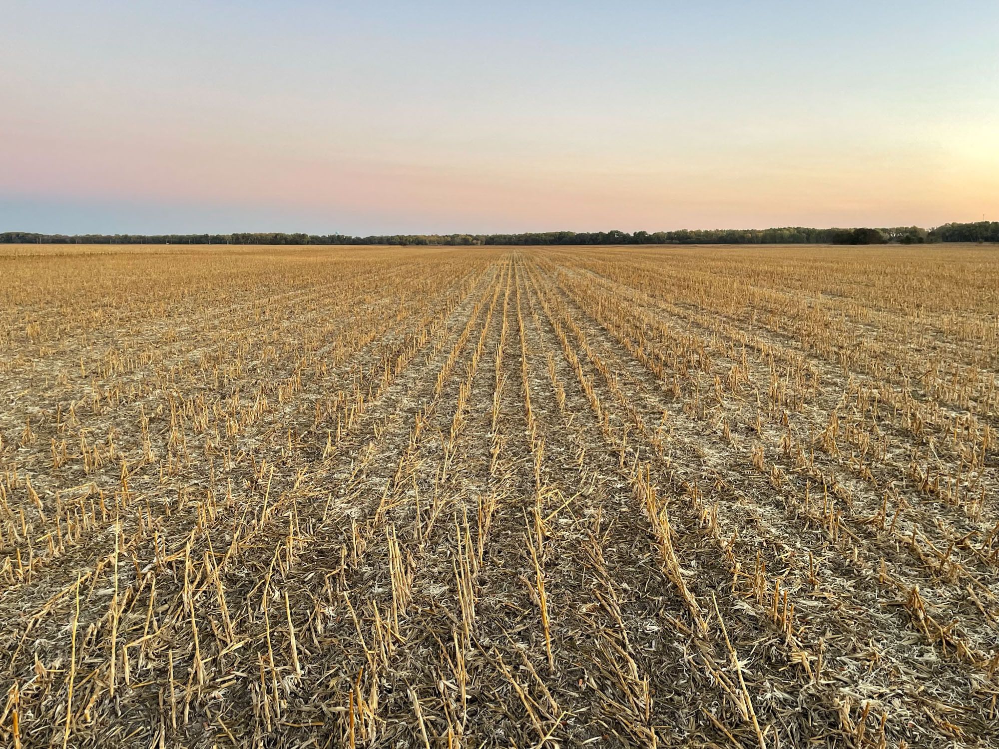 292.79 acres in Clyde, KS, 66938 | Land.com