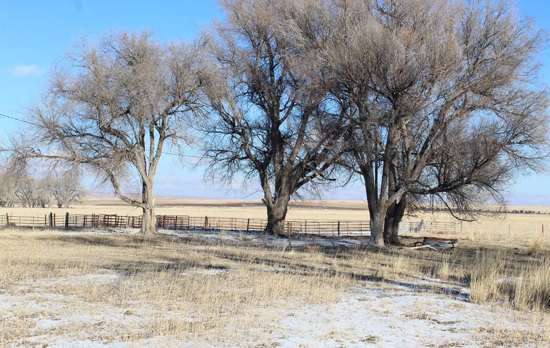 South 4th Road, Morrill, NE 69358 | Land.com