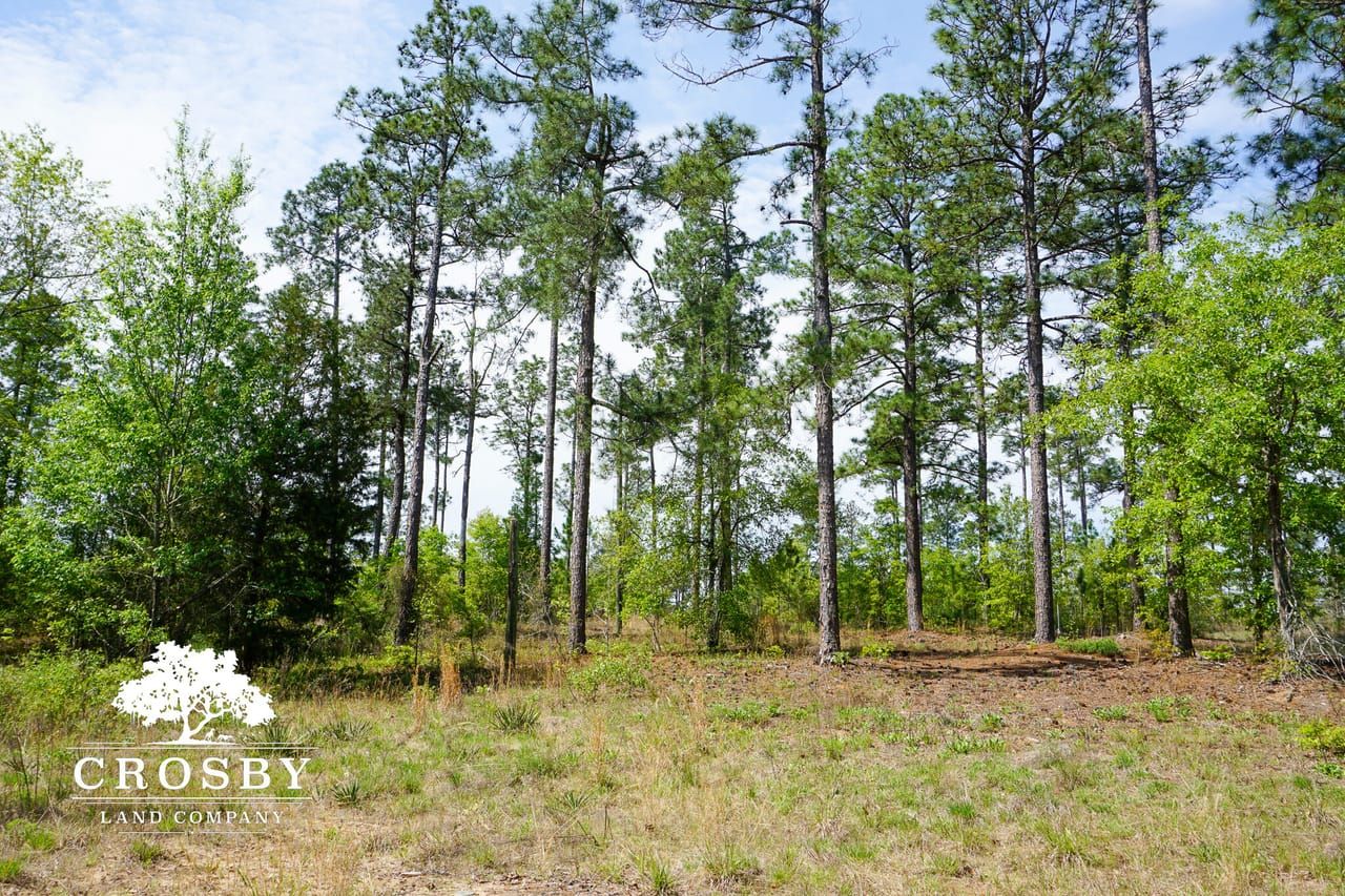 421.92 acres in Hephzibah, GA, 30815 | Land.com