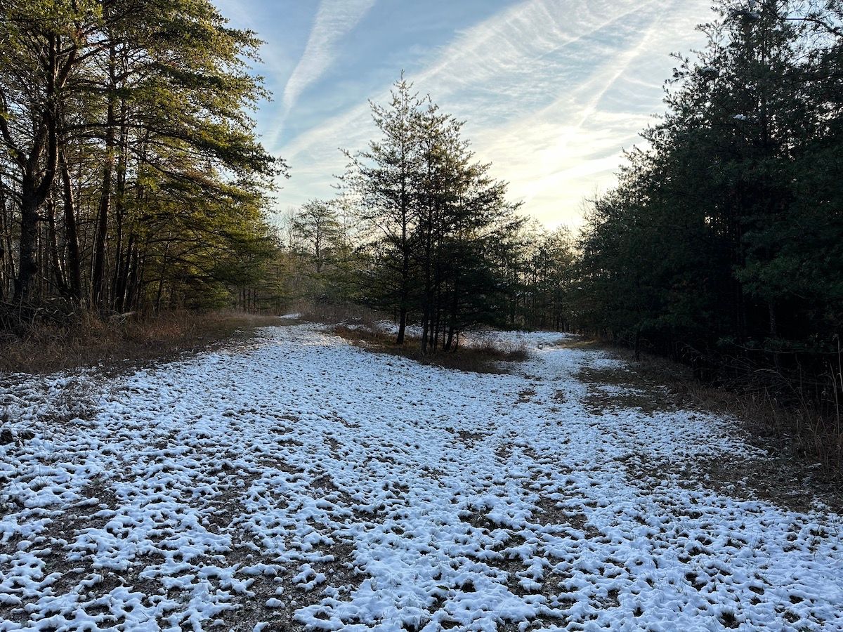 769 Big Pigeon Road, Procious, WV 25164 | Land.com