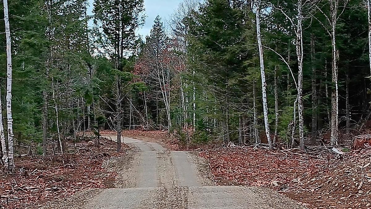Cobb Road, Lee, ME 04455 | MLS: TMLS1167 | Land.com