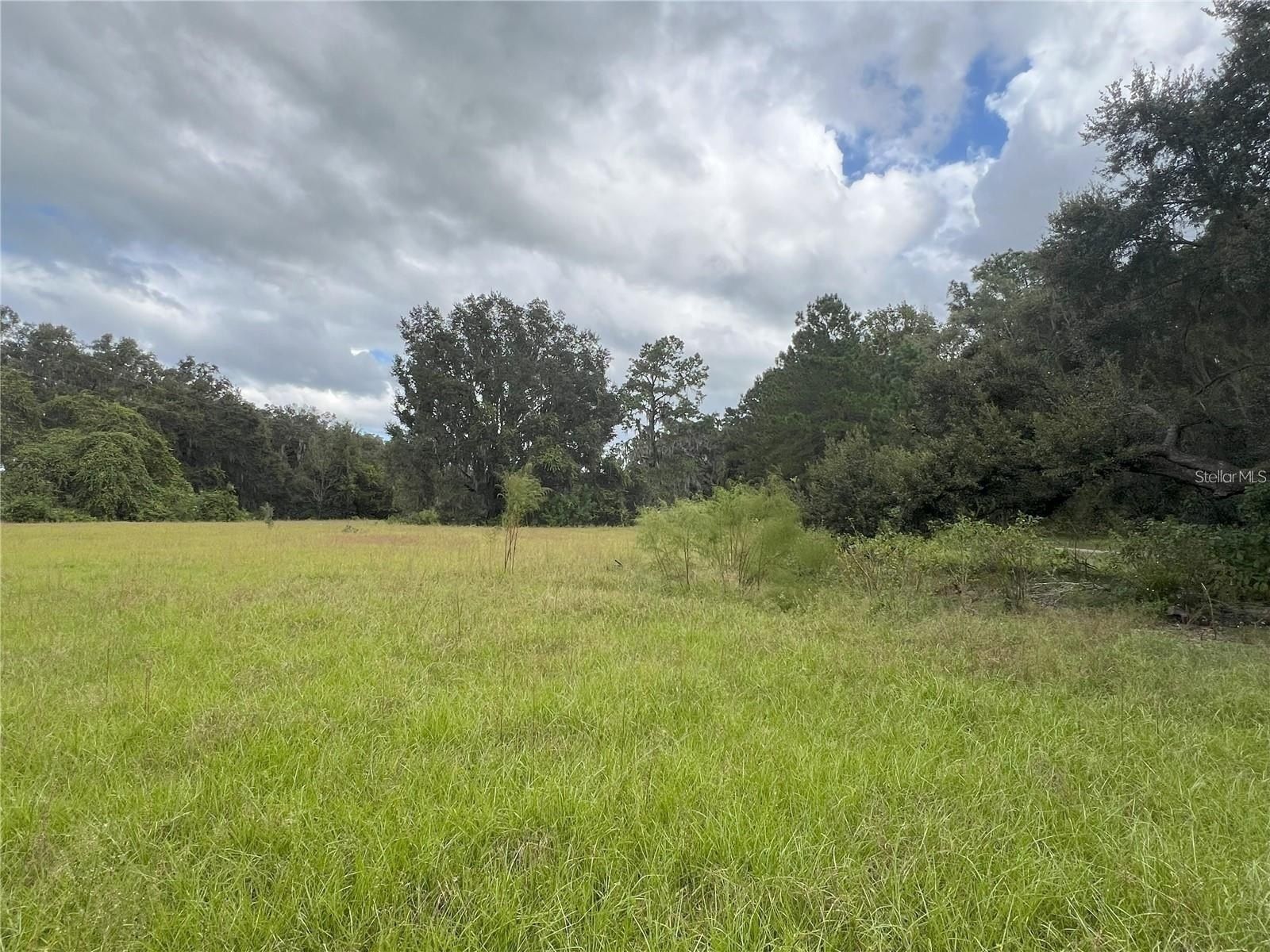 UNDETERMINED, Citra, FL 32113 | MLS: TB8340178 | Land.com
