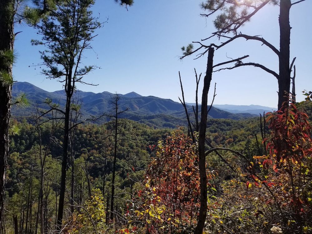 4478 E Highway 25-70(Dixie Hwy), Del Rio, TN 37727 | Land.com