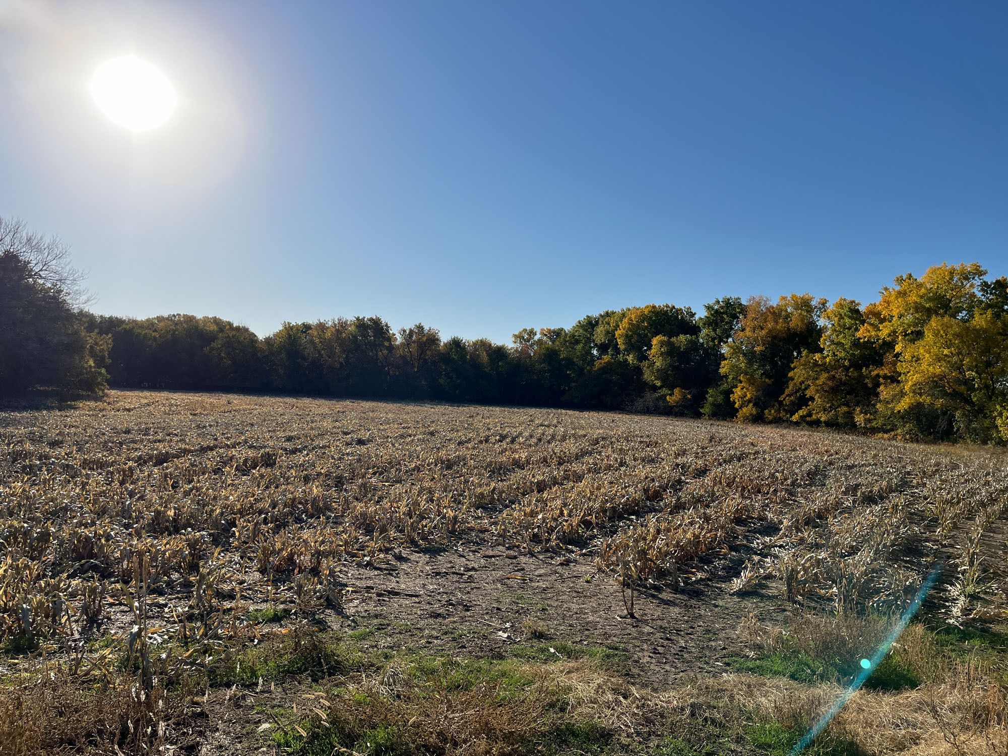 1,174.2 acres in Lyons, KS, 67554 | Land.com