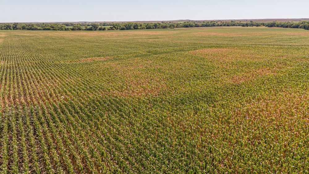 00000 US Highway 283, Lenora, KS 67645 | MLS: Norton 174 | Land.com