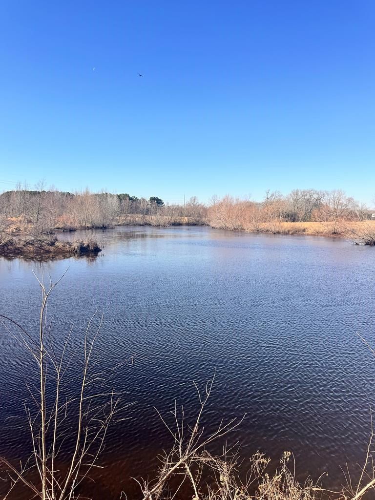 13233 CR 3801, Athens, TX 75751 | MLS: 108225 | Land.com