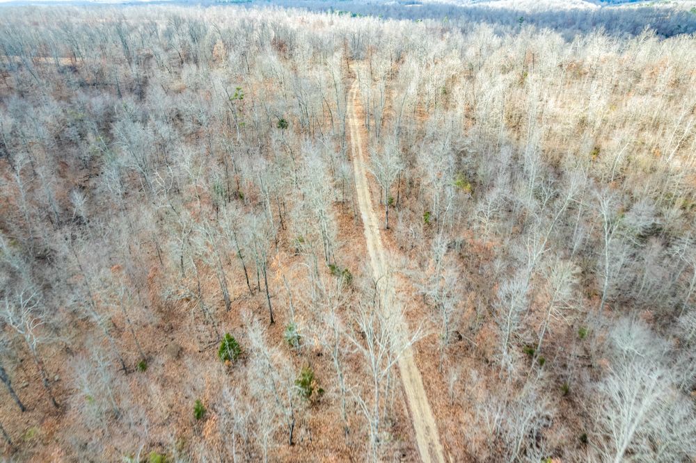 000 Bollinger County Road 924, Patton, MO 63662 | MLS: Bollinger 63 ...
